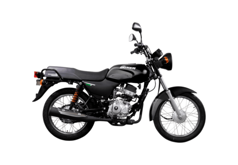 Motos Boxer CT 100 KS | Grupo UMA Colombia